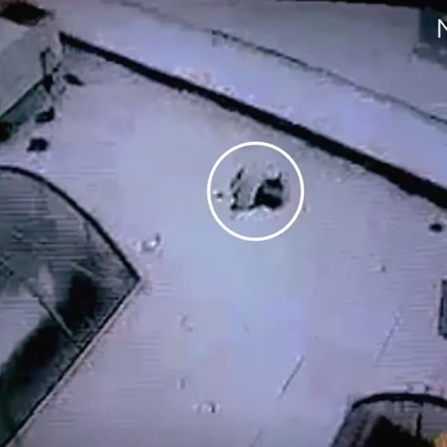 Rey Rivera caiu de helicóptero? Nova teoria sobre caso de Mistérios sem ...